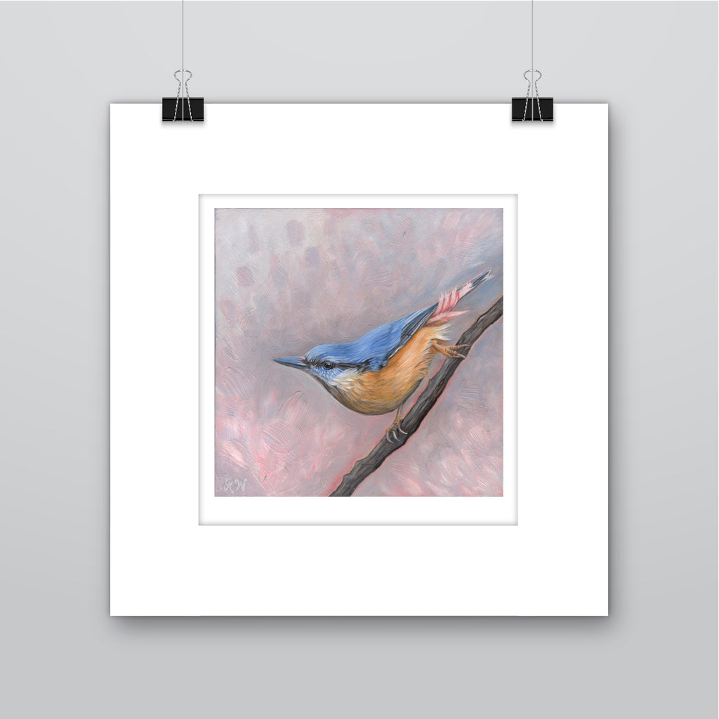 Curious Nuthatch – Rachael Wild Artist